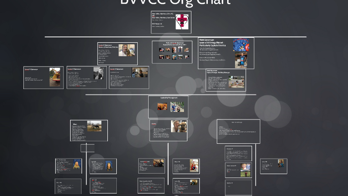 Bear Valley Veterinary Care Center Org Chart by Carola Stevenson on Prezi