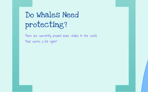 Save the Whales by Jilly Carrell on Prezi
