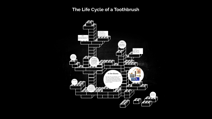 The Lifecycle of a Toothbrush by Eliza - on Prezi