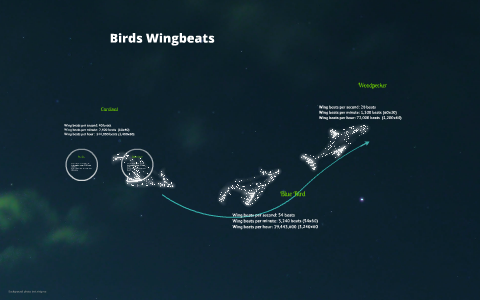 Birds Wingbeats by Daniel Paulauskas on Prezi