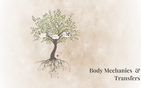 Body Mechanics & Transfers by Shanna Williams, M.S. OTR/L on Prezi