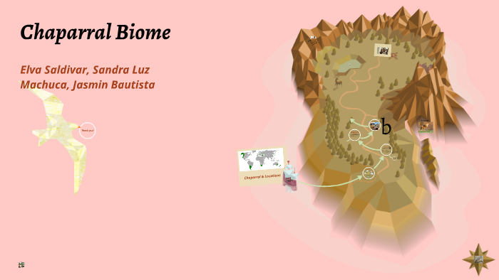 Chaparral Biome by Jasmin Bautista on Prezi