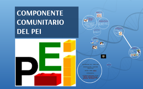 COMPONENTE COMUNITARIO DEL PEI by lilibeth margarita buitrago ortega on ...