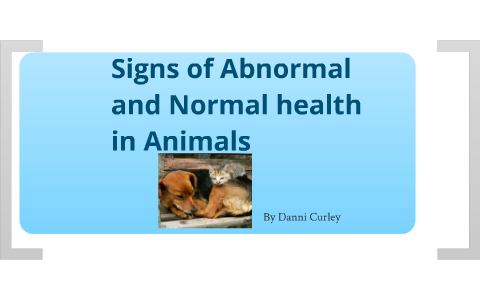 Signs of abnormal health in animals by Danni Curley on Prezi