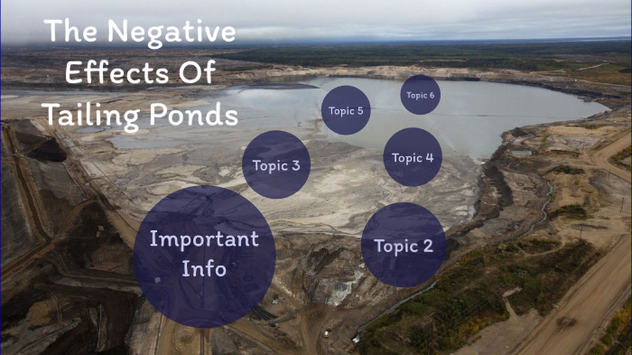 Tailing Ponds Effect On The Environment by Kahala Palmer - Central Peel ...