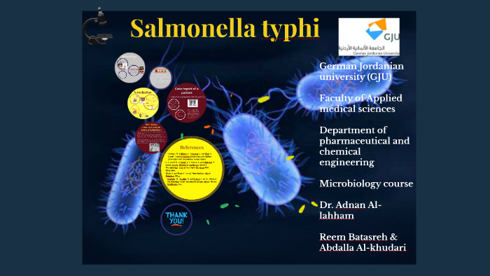 Salmonella typhi by Reem Batarseh on Prezi