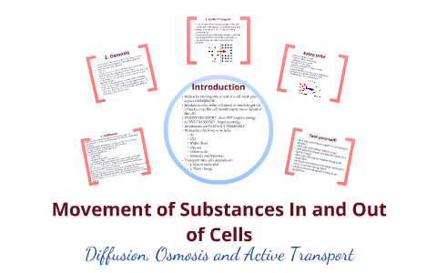 BIOLOGY- movement of substances in and out of cells by Cecily Bayliss ...