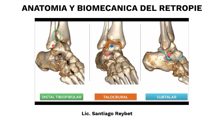 Articulación y Biomecánica del Retropie by Santiago Reybet on Prezi