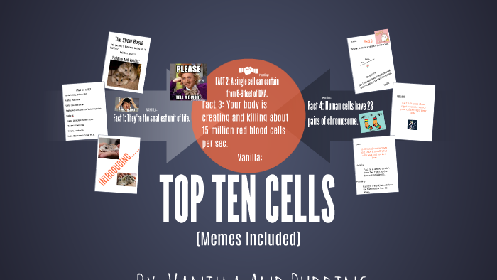 TOP 10 CELLS by #Food4EVER Lover on Prezi