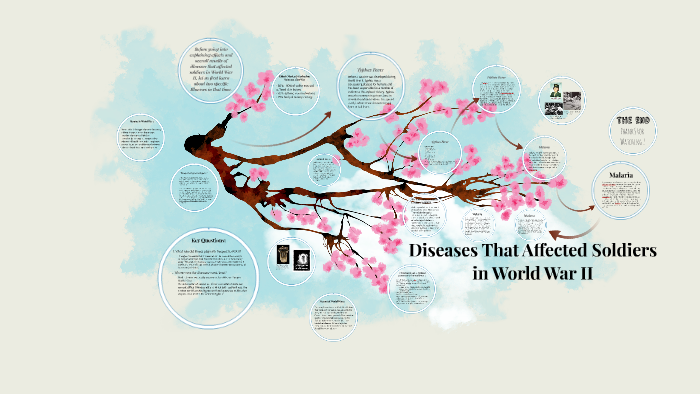 Diseases That Affected Soldiers in World War II by Alex Wilkinson on Prezi