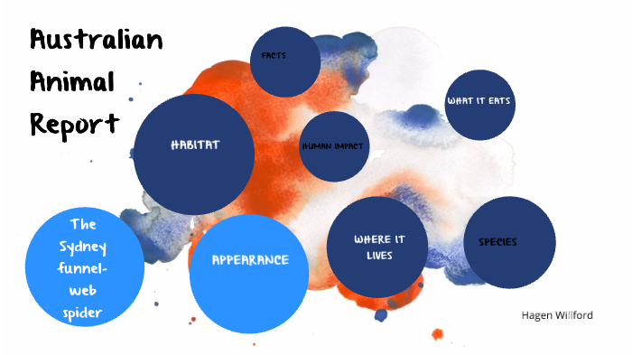 Australian Animal Report by Hagen Willford on Prezi