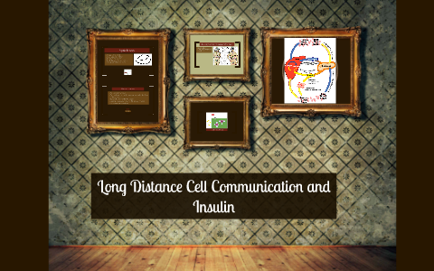 Long Distance Cell Communication and Insulin by Christina Schofield