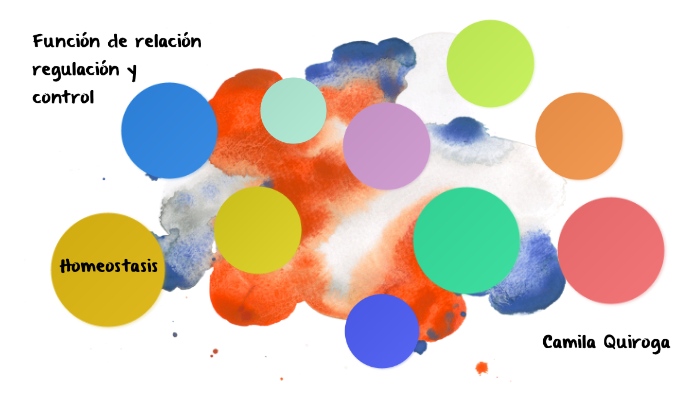 Función de relación, regulación y control by Camila Quiroga on Prezi
