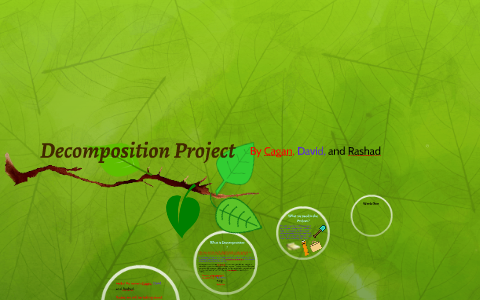 Decomposition Project by Cagan Oz on Prezi