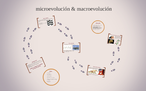 microevolucion & macroevolucion by blanca durantez on Prezi