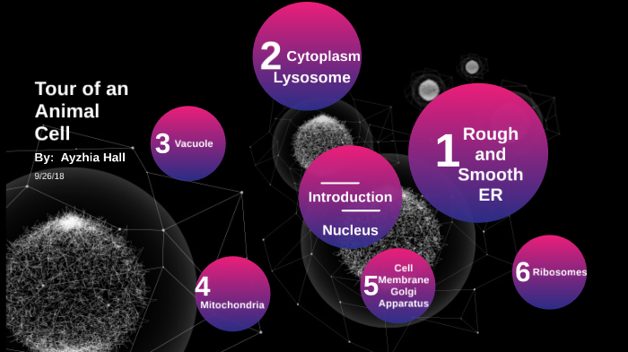 Tour of an Animal Cell by Ayzhia Hall on Prezi