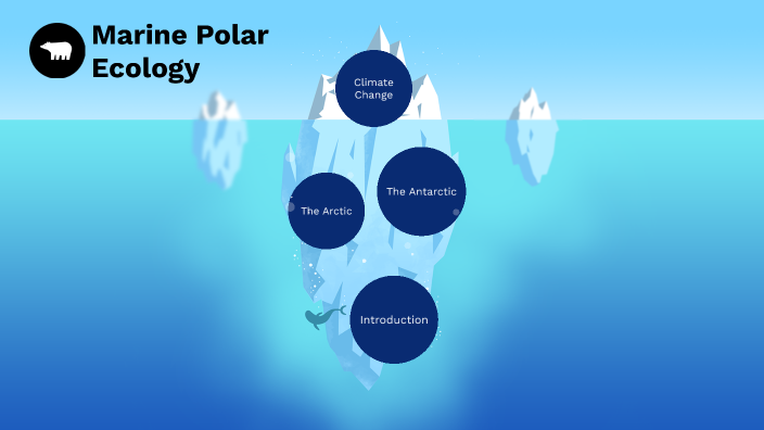 Ecology of Marine Polar Systems by Magdalena Haring on Prezi