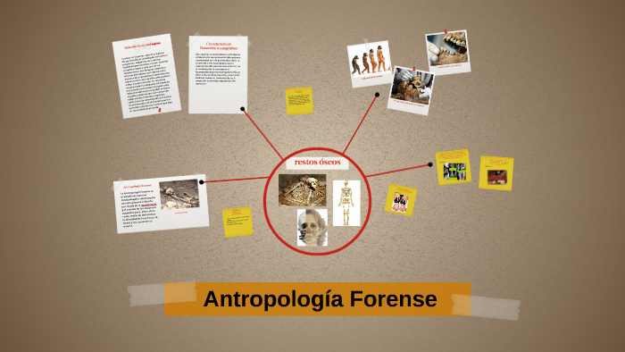 Antropología Forense by diana alexandra triana gonzalez on Prezi