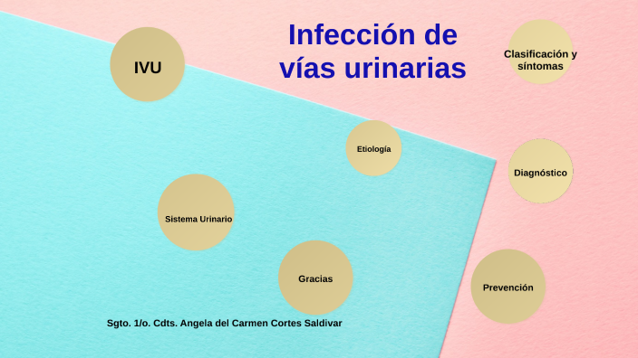 Infección de vías urinarias by Angy Cortes on Prezi