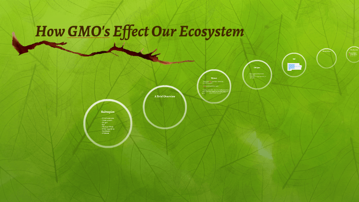 How Do GMO's Effect Our Ecosystem by Dimitri Papadopoulos on Prezi