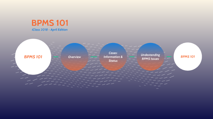 BPMS 101 by Sandra Adevokhai on Prezi