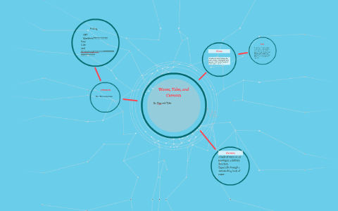 Waves, Tides, and Currents by kirulos kiro on Prezi