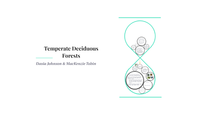 Temperate Deciduous Forests by MacKenzie Tobin on Prezi
