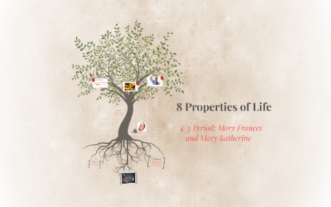 The Eight Properties of Life by Mary Frances Buzhardt on Prezi