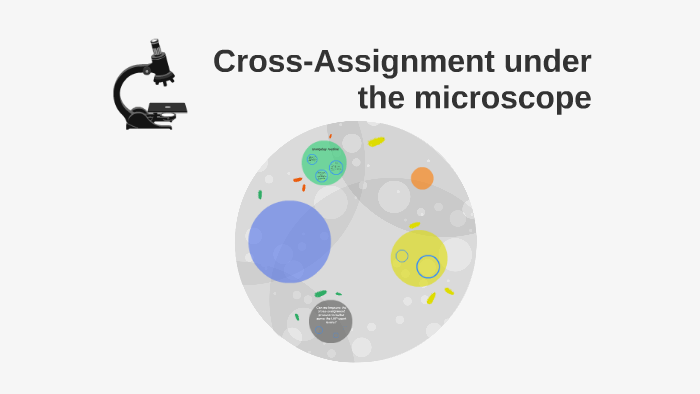 Cross-Assignment in the microscope by Valeria Sasser on Prezi