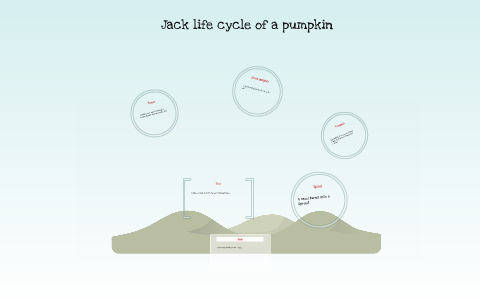 Jack life cycle of a pumpkin by Rowena Sablan on Prezi