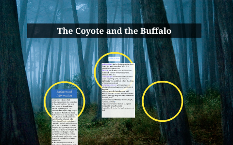 The Coyote and the Buffalo by Maria Brady on Prezi