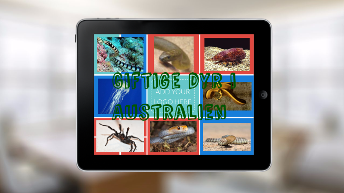 Giftige dyr i Australien by Oliver La Caille on Prezi