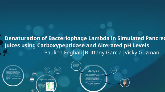 Background and Significance by on Prezi