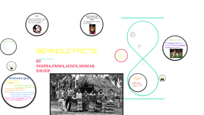 SEMINOLE FACTS by mohab saintelus