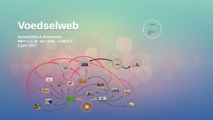 Estuarium Bioom Voedselweb Meegroeien Met De Zeespiegel Harde Noodzaak