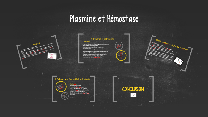 Plasmine et Hémostase by Lea Gommery on Prezi