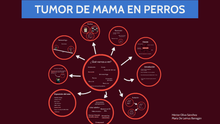 TUMOR DE MAMA EN PERROS by Héctor Oliva on Prezi