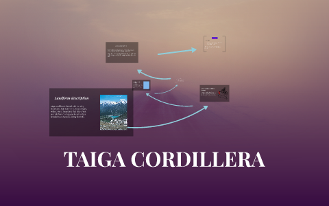 TAIGA CORDILLERA by allycia wilson