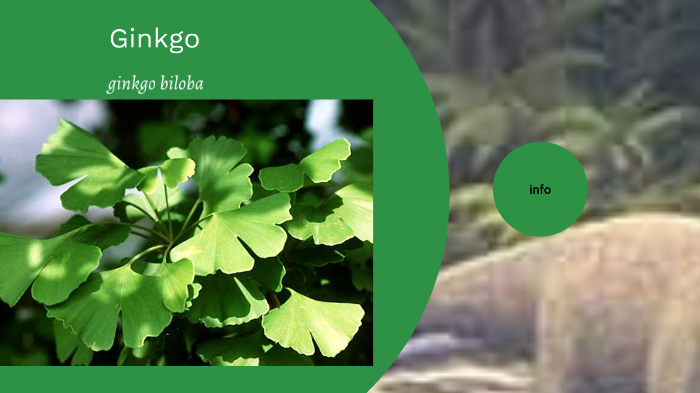 prehistoric food web by Savanna Chan on Prezi