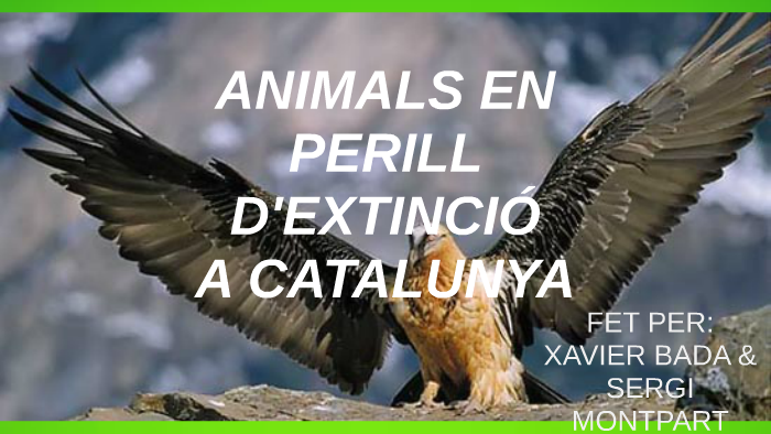 ANIMALS EN PERILL D'EXTINCIÓ by sergi montpart i xavier bada santana on ...