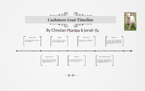 Cashmere Goat Timeline by Christian Montes on Prezi