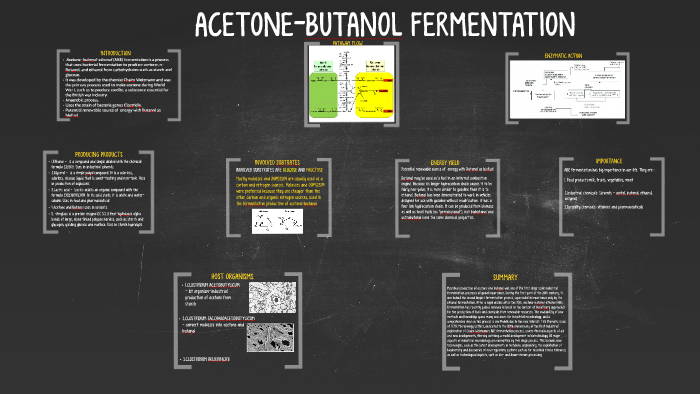ACETONE-BUTANOL FERMENTATION by Danishpan Baiboz on Prezi