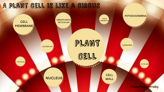 Cell Circus by Makenna Ferraby on Prezi