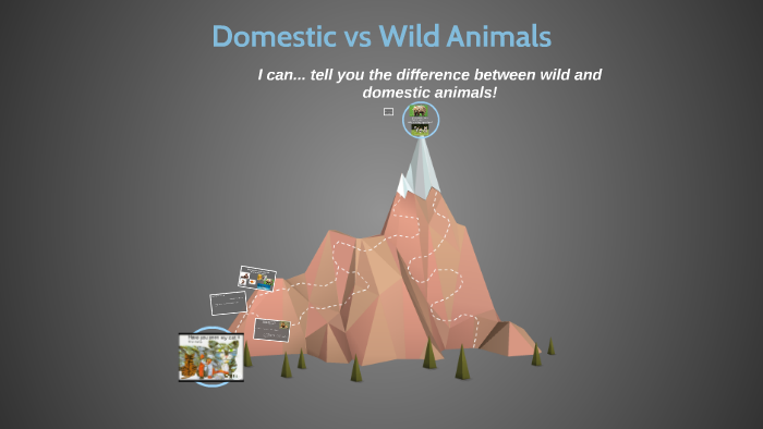 Domestic vs Wild Animals by Krista Connelly on Prezi