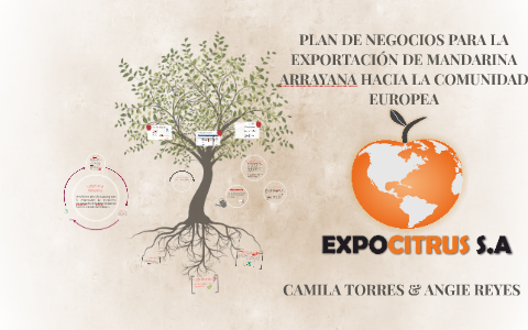 PLAN DE NEGOCIOS PARA LA EXPORTACIÓN DE MANDARINA ARRAYANA by Camila ...
