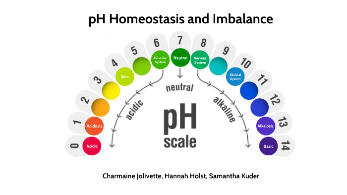 pH Homeostasis and Imbalance by Charmaine J on Prezi