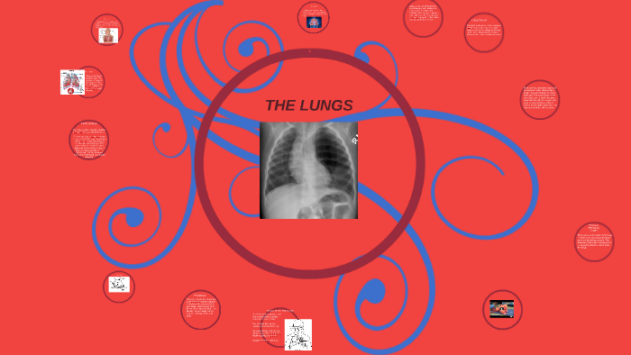 THE LUNGS by Fallon Slone on Prezi