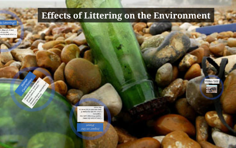 Effects of Littering on the Environment by Lauren Pokoj on Prezi