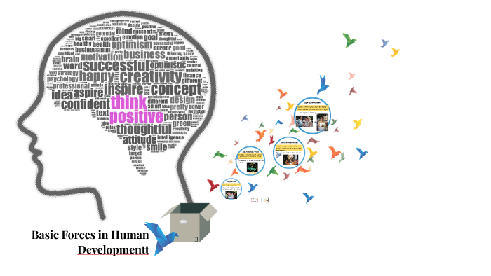 Basic Forces in Human Development: The Biopsychosocial Frame by Rudy ...