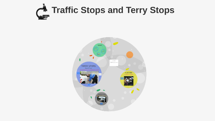 Traffic Stops and Terry Stops by A50927502